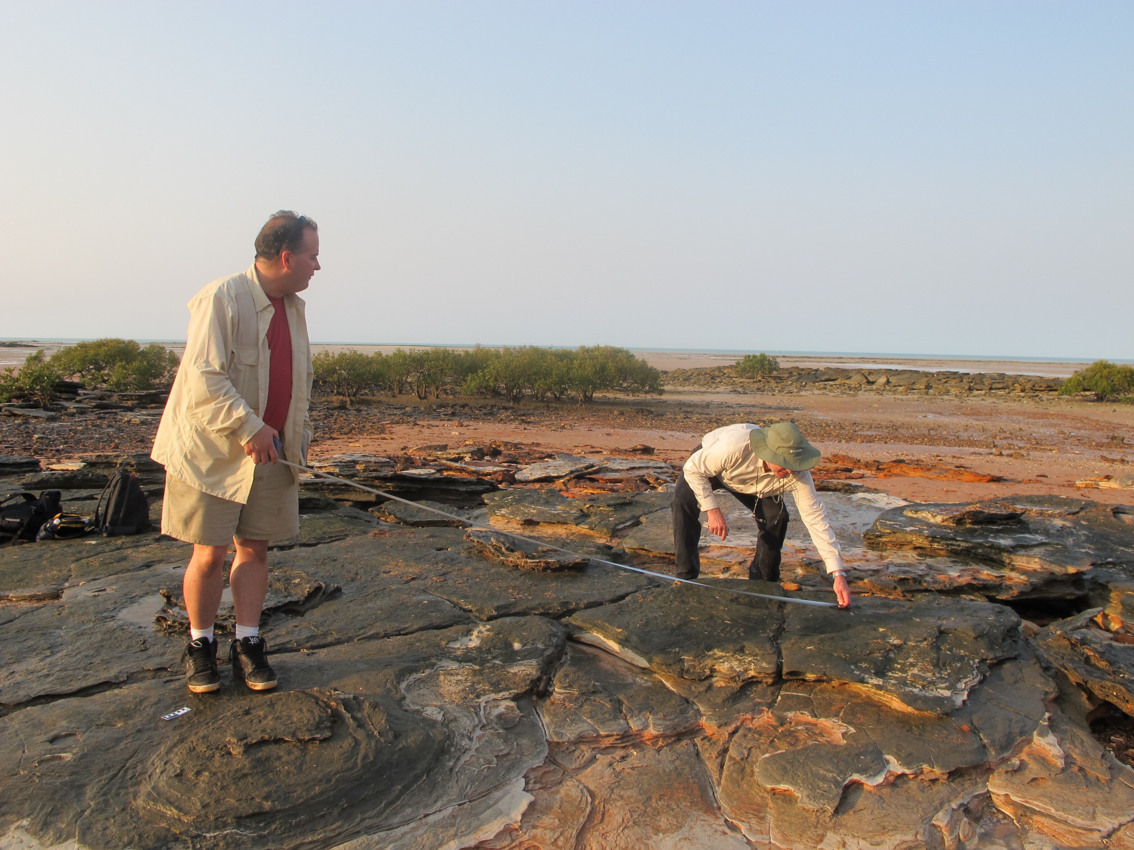 A new study of dinosaur footprints underway - ABC News