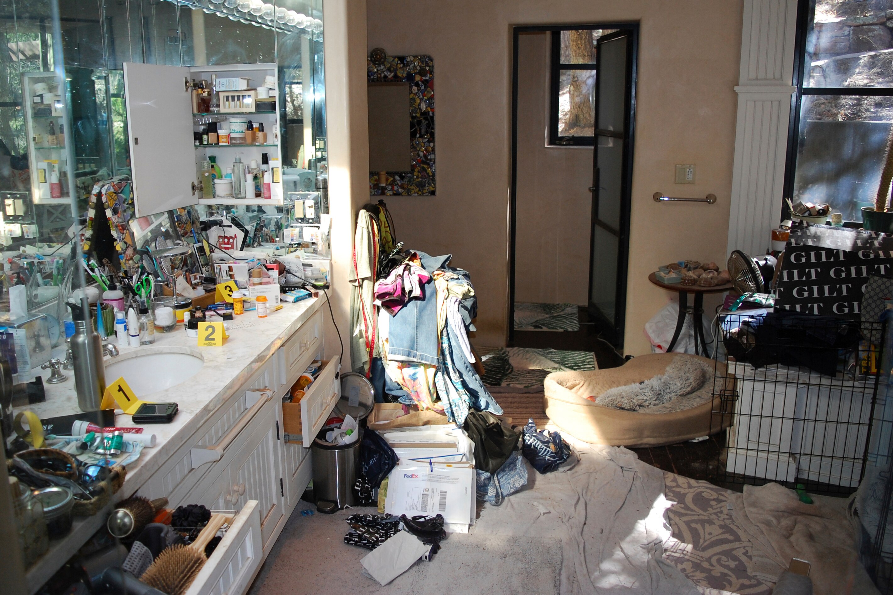 Records show Gene Hackman's wife researched symptoms of illness days ...