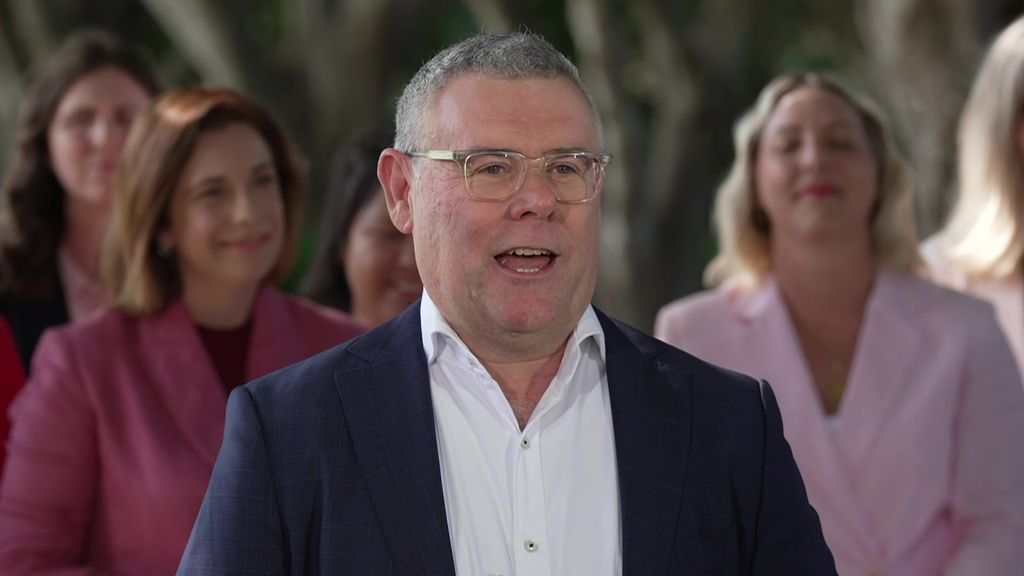 Murray Watt called the new Labor Queensland MPs the 'magnificent seven ...