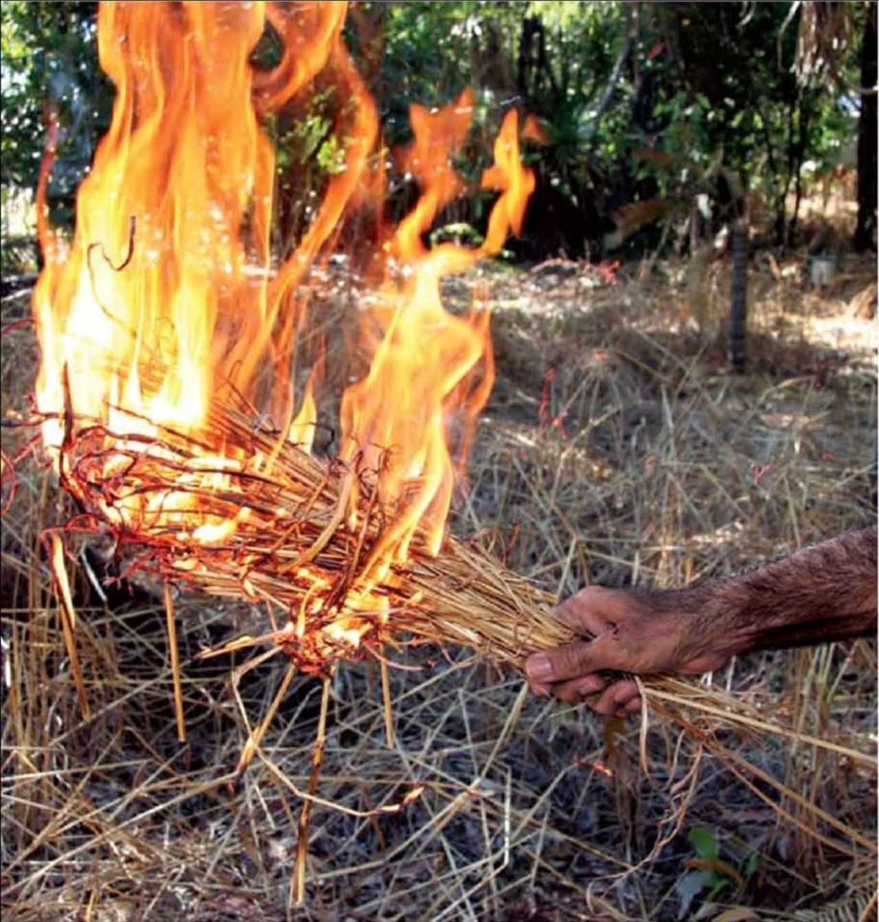 Indigenous fire could save CO2 emissions - ABC News
