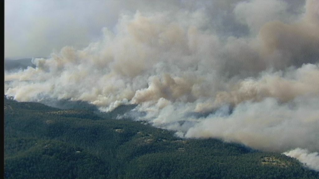 Scientists say climate change link to bushfires demands action - ABC News