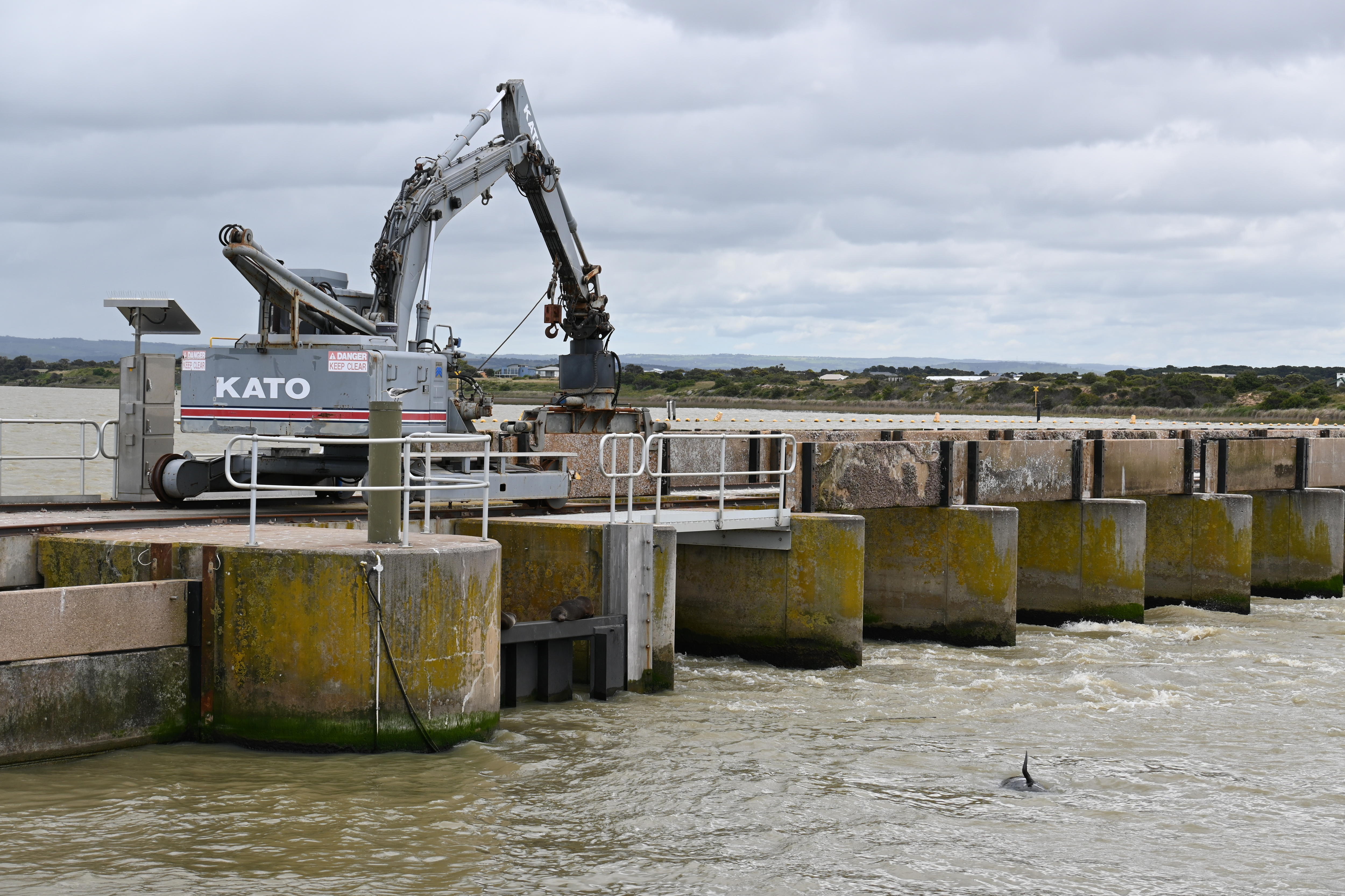 Murray River barrage gates closed by SA Water as flows continue to drop ...