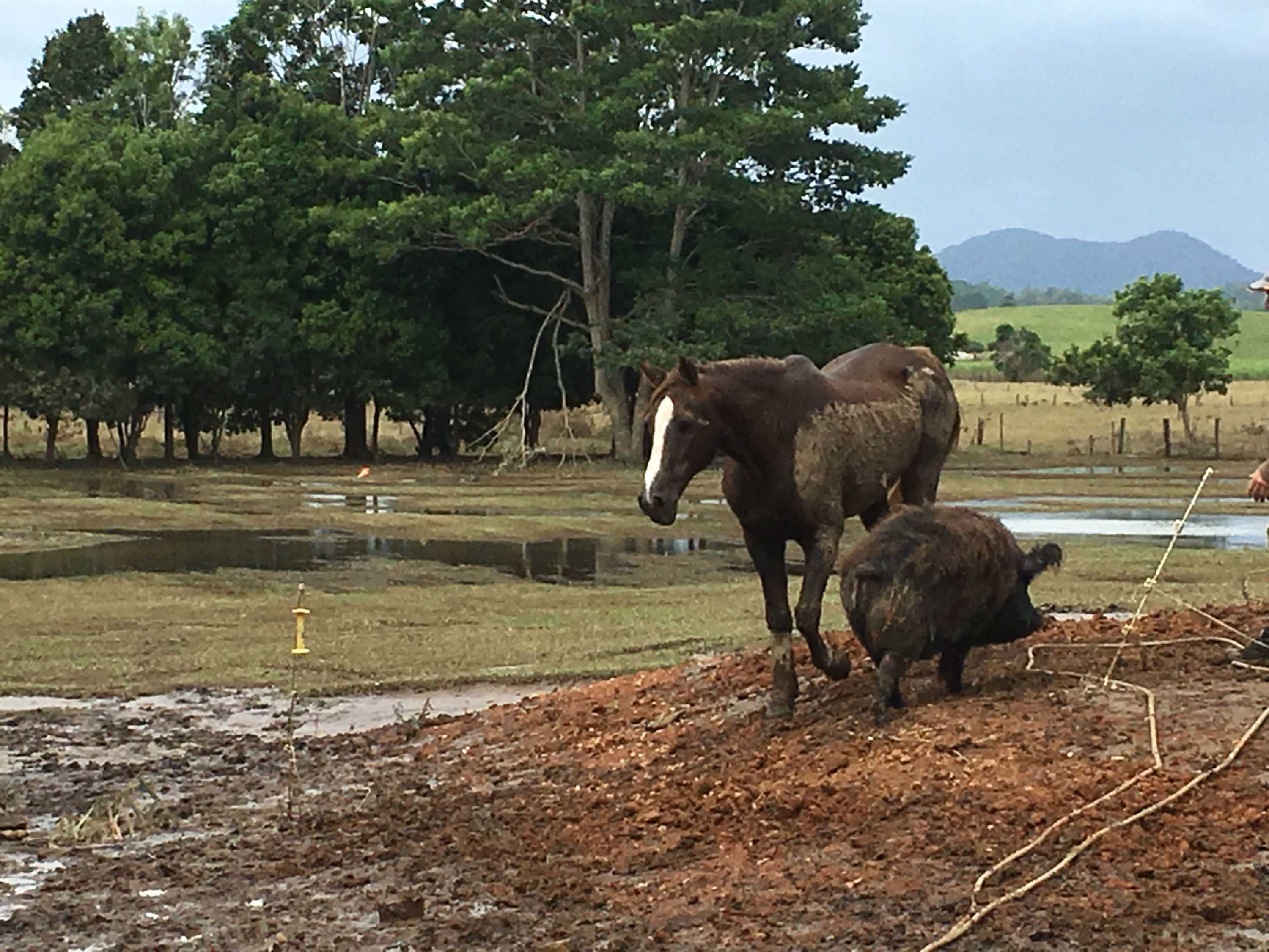 Countrywide - ABC listen