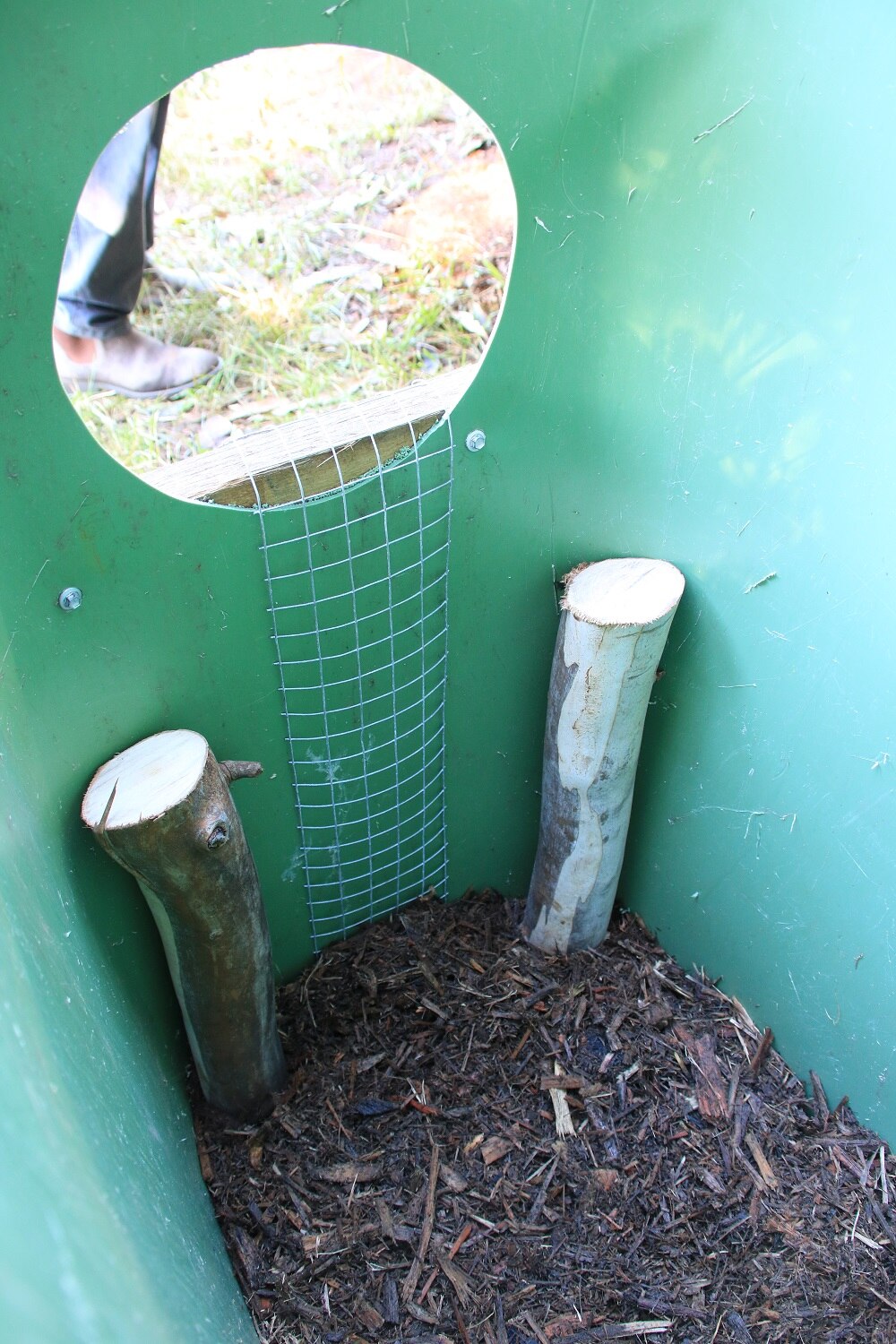 Wheelie interesting nesting box trial aims to save threatened ...