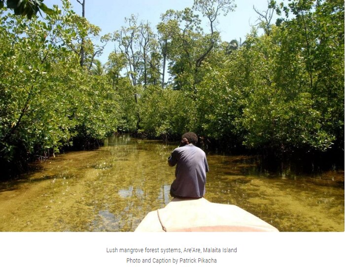 Unsustainable logging long Solomon Islands - ABC News