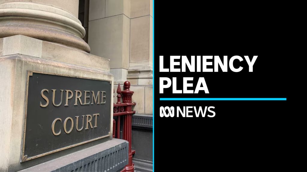 Court hears woman should be showed leniency in murder conviction - ABC News