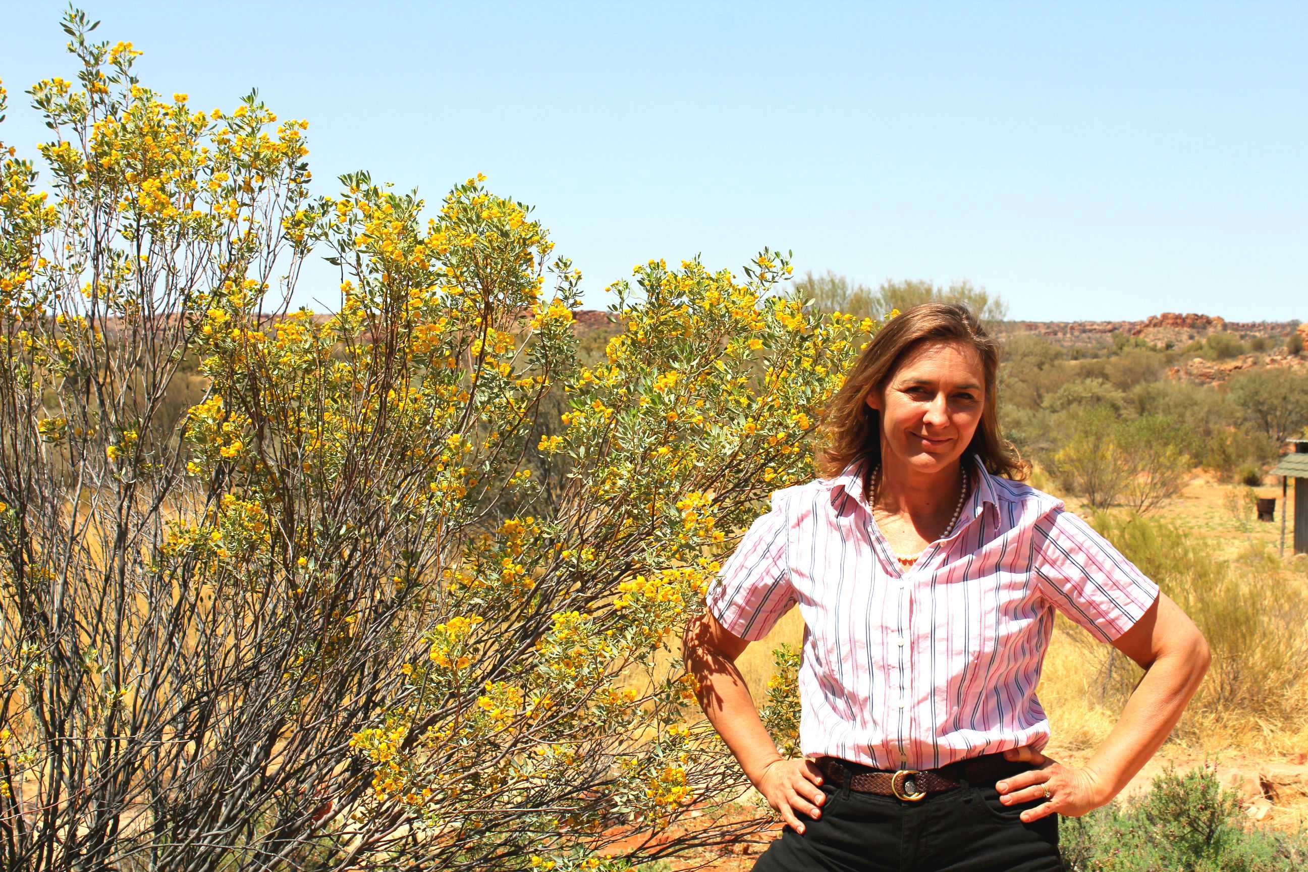 Outback Ooraminna Station, a TV and movie favourite, changes hands ...