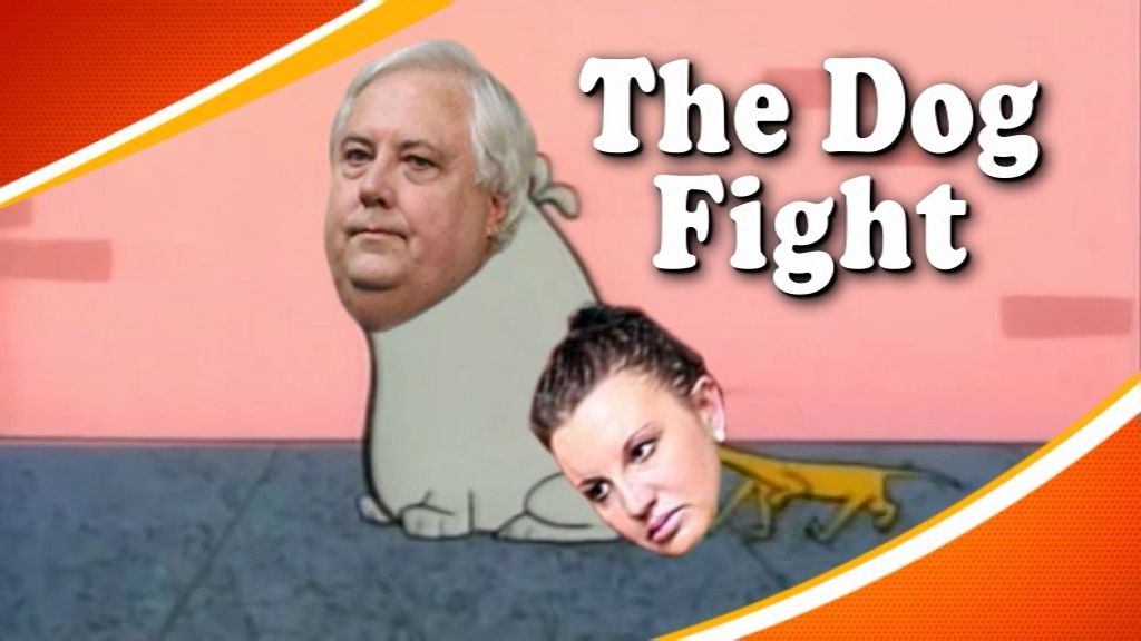 The Dogfight - ABC News