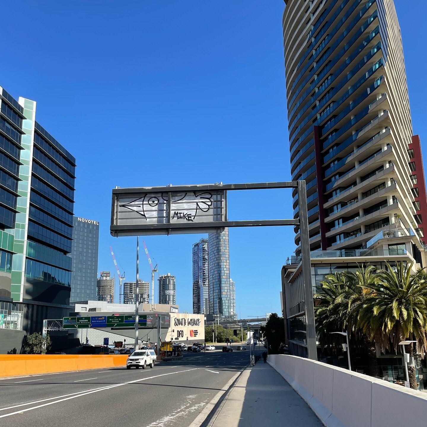 Alleged 'Pam the Bird' creator may have to wait 18 months behind bars ...