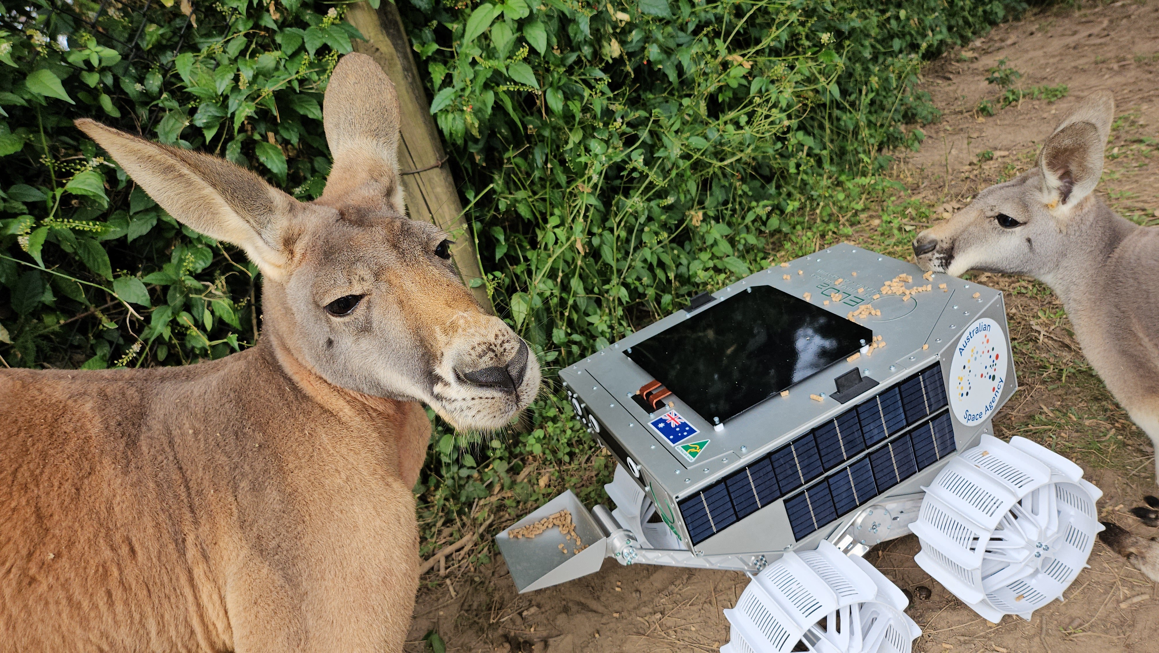 Australian first Moon rover, Roo-ver, to be made by ELO2 Consortium and ...