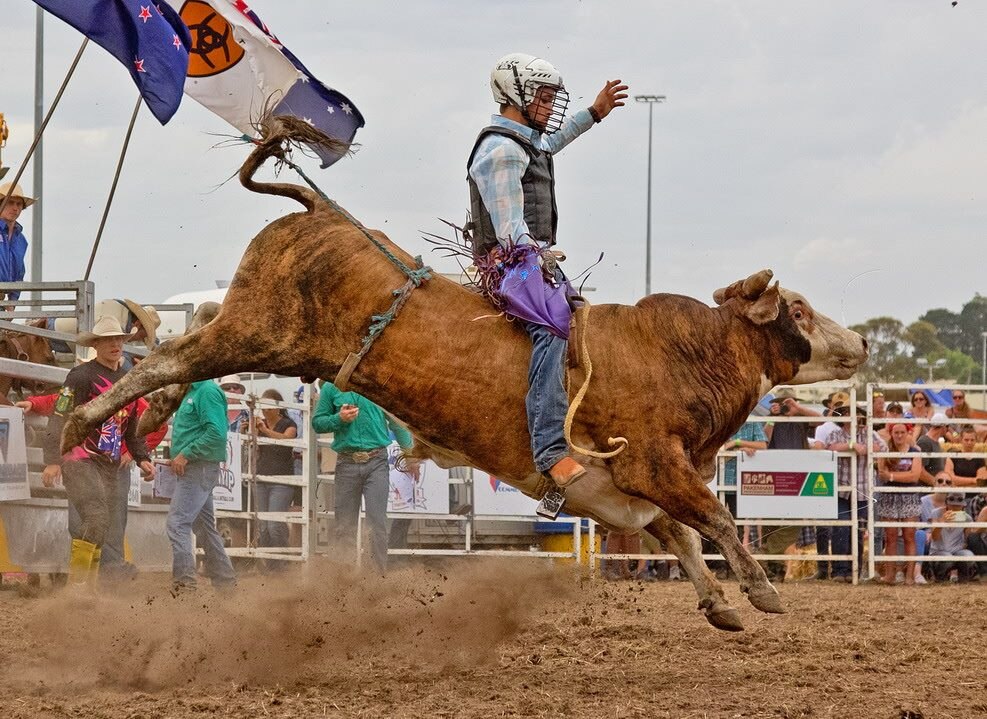 'Another day, another rodeo': Bunyip Rodeo attracts record crowd - ABC ...