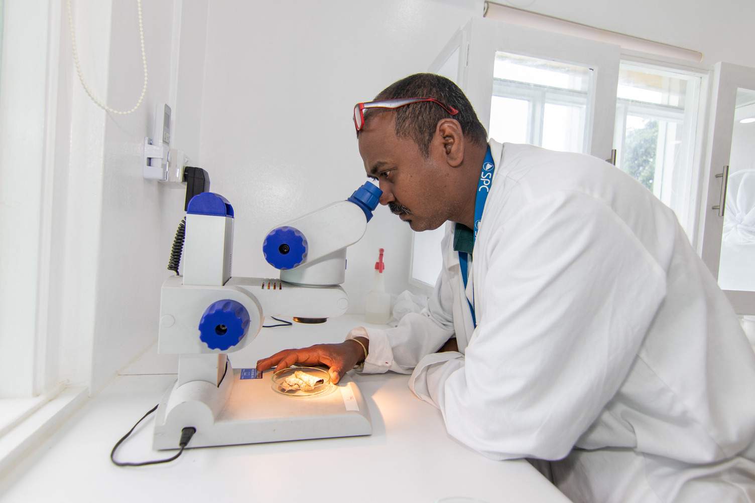 New plant health lab in Fiji set to boost region’s bio-security - ABC ...