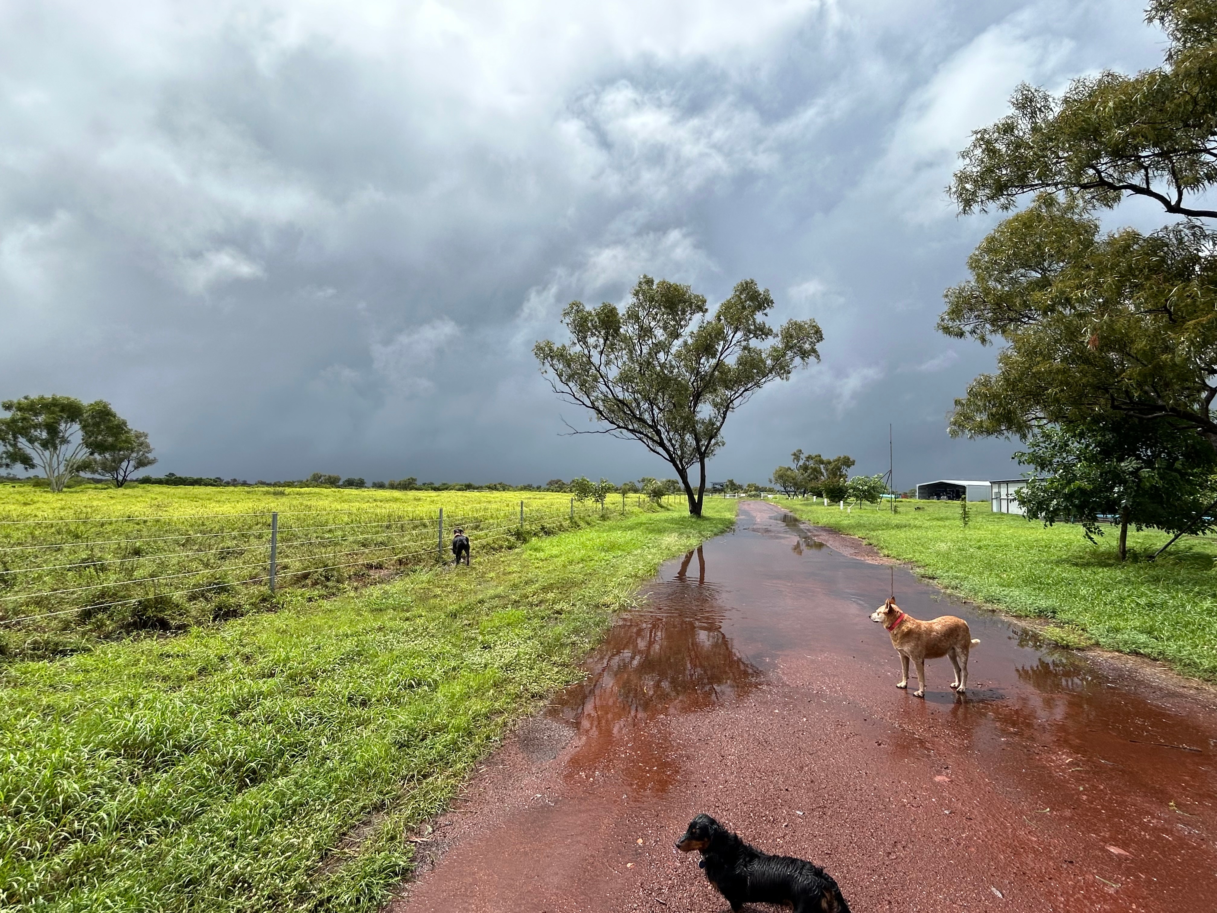 NT Country Hour - ABC listen