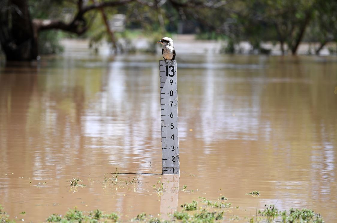 Predicting river levels used to be guesswork, but a new tool now gives ...