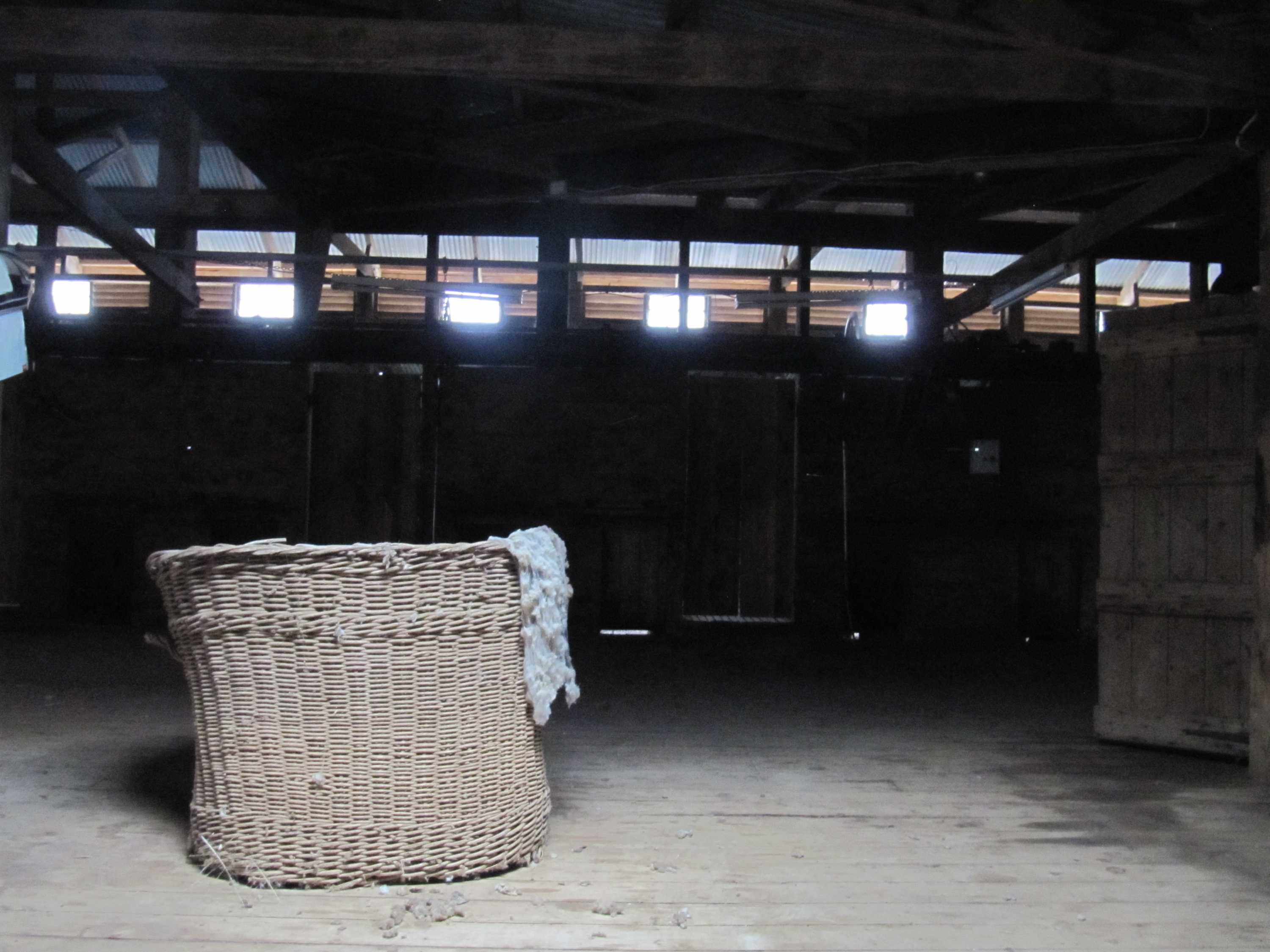 More assurances needed from AWI online wool auction plan - ABC News