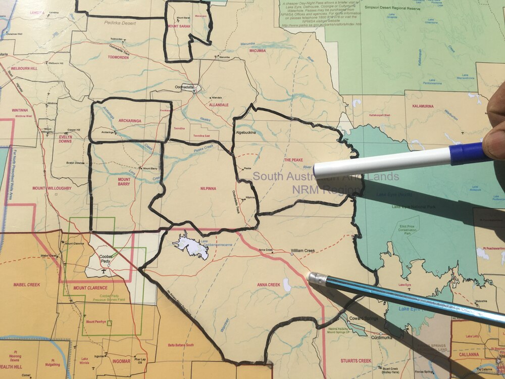 South Australian family prepares to take over world's largest cattle ...