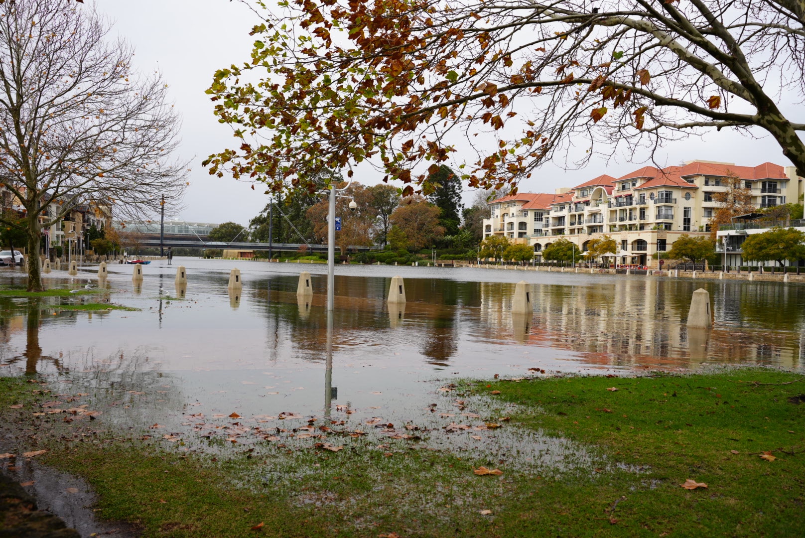 Man taken to hospital after tree falls on car, as WA prepares for more ...