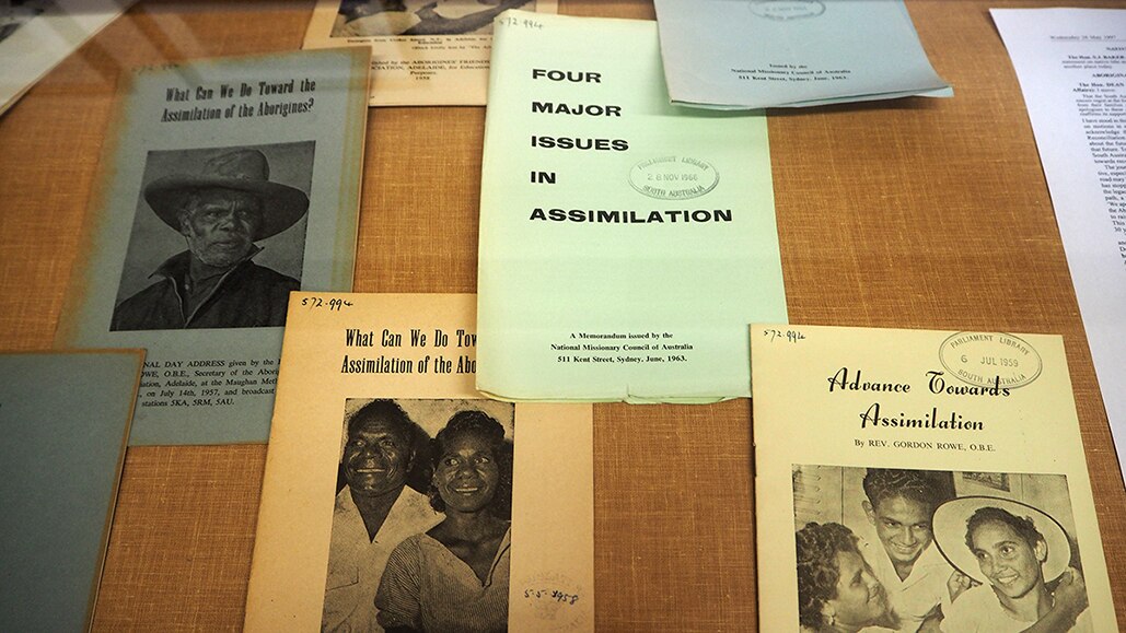 Proposed charter and Indigenous assimilation pamphlets among recovered ...