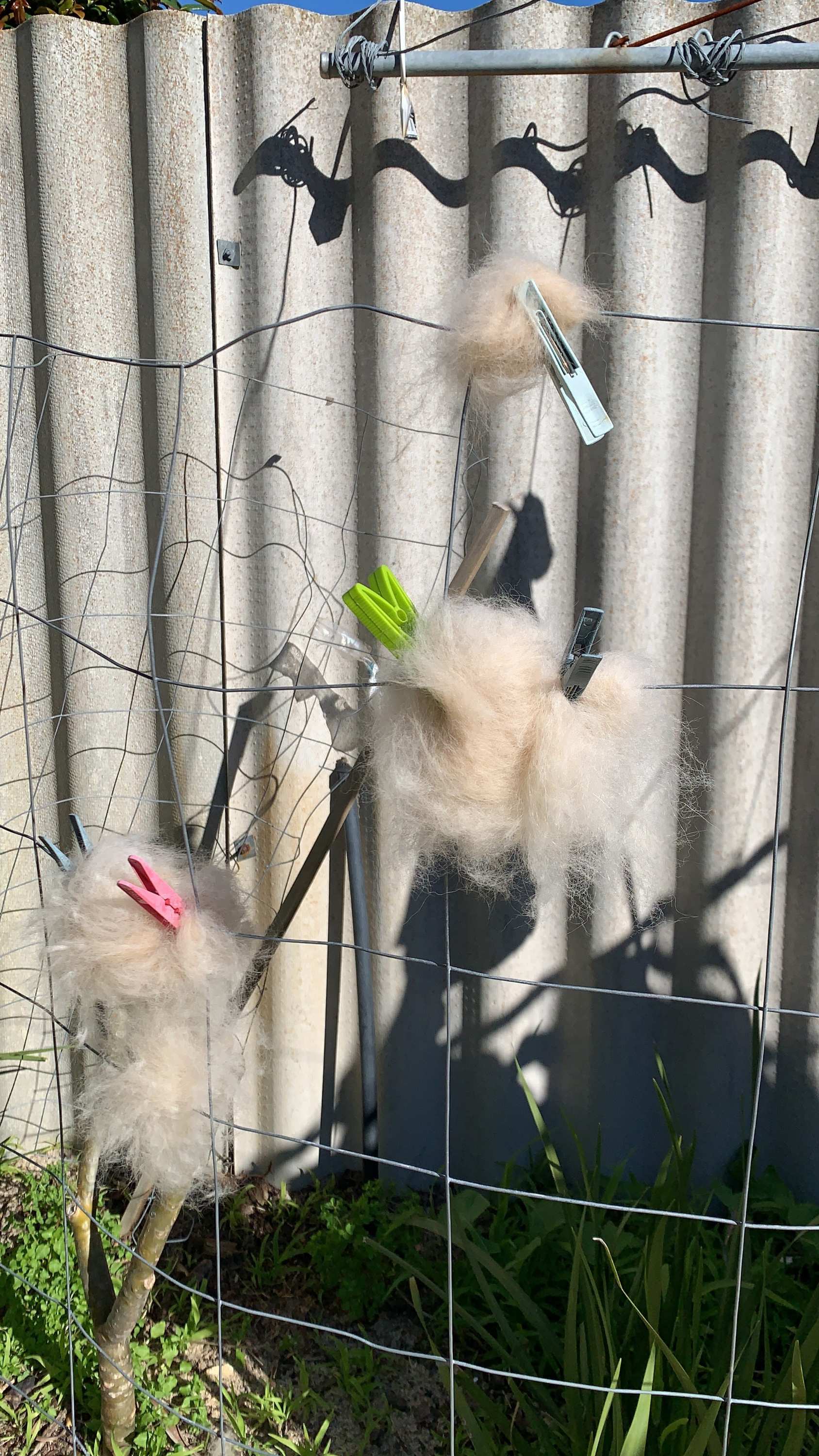 Gardening guru Sabrina Hahn on how the stuff and fluff around your home ...