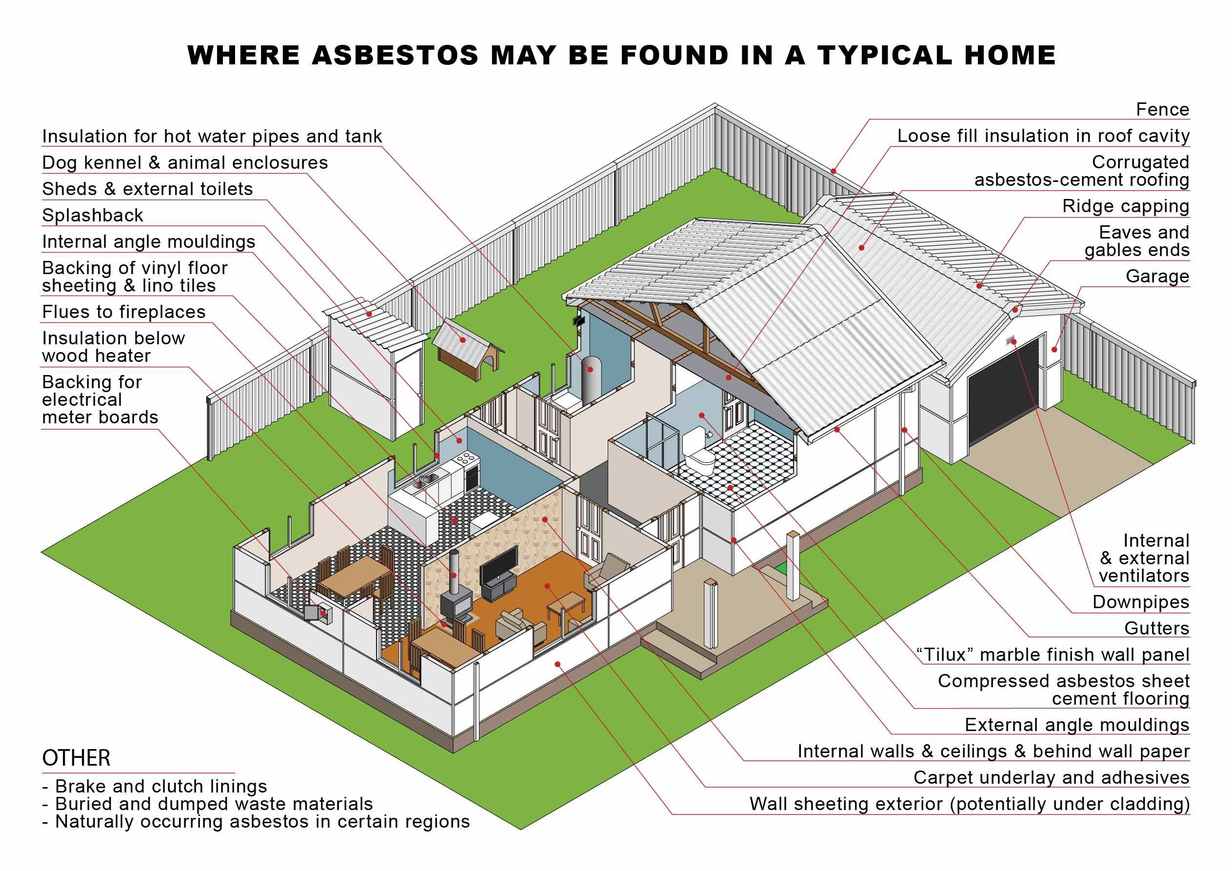 Asbestos Risks and Solutions - ABC Sydney