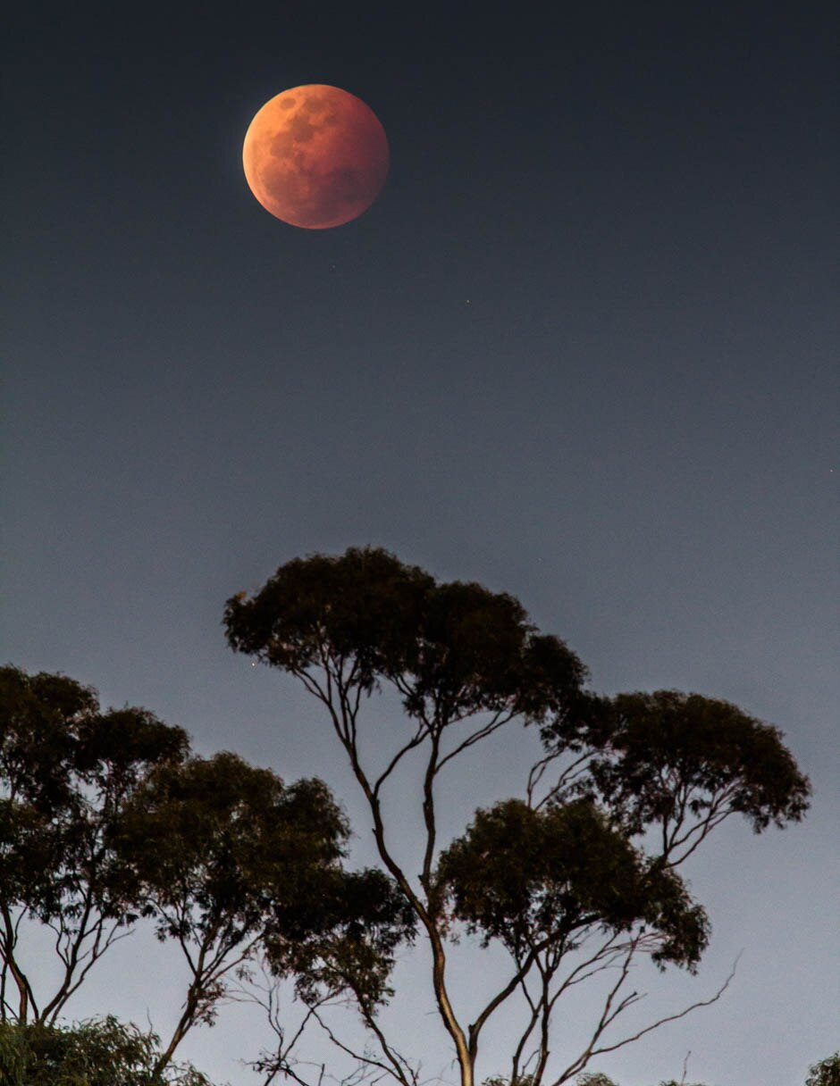 Lunar eclipse: 10 stunning photos of the Blood Moon - ABC News