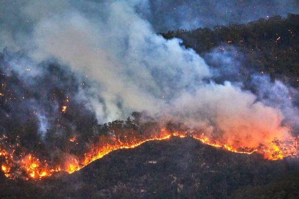 Data and A.I. are being deployed to help fight bushfires - ABC listen