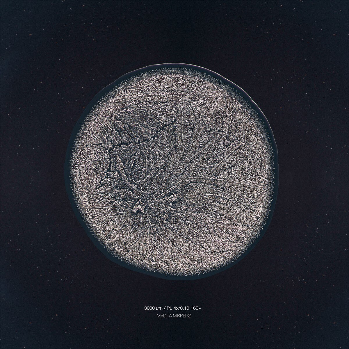 Dutch photographer Maurice Mikkers studies the beauty and emotion ...