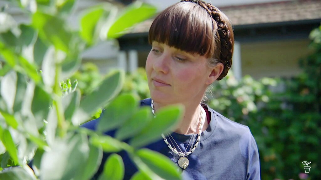 My Garden Path | Tai Snaith - Gardening Australia