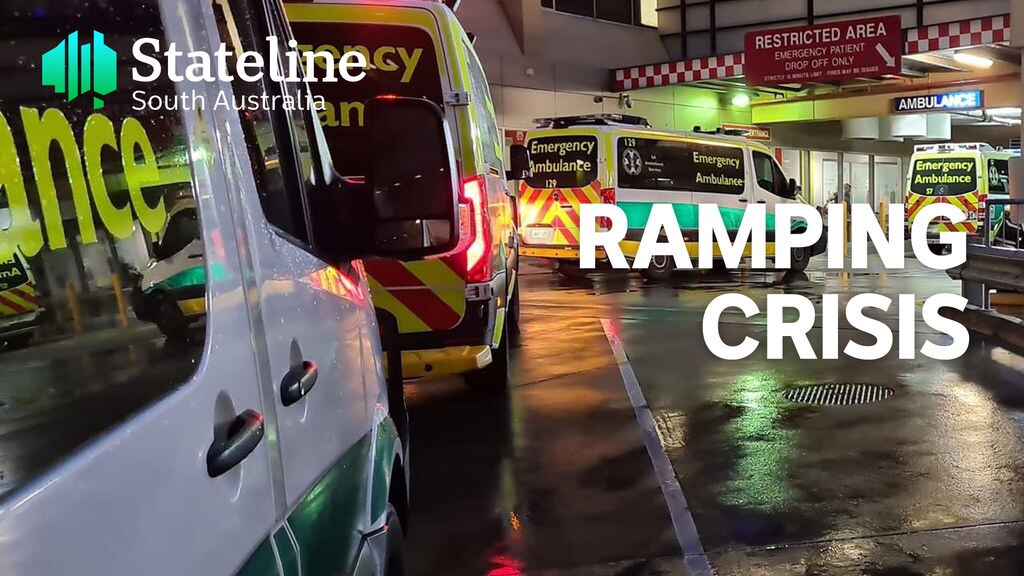 Stateline : ABC iview