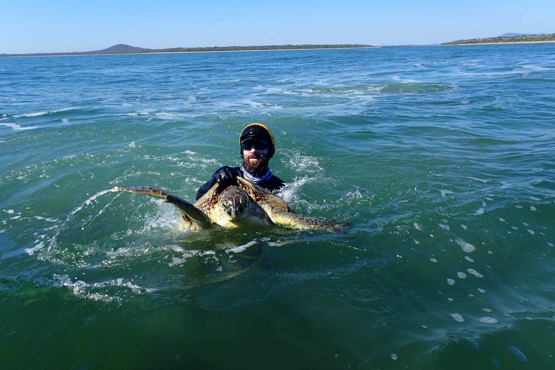 Turtle rodeo at Gladstone - ABC News