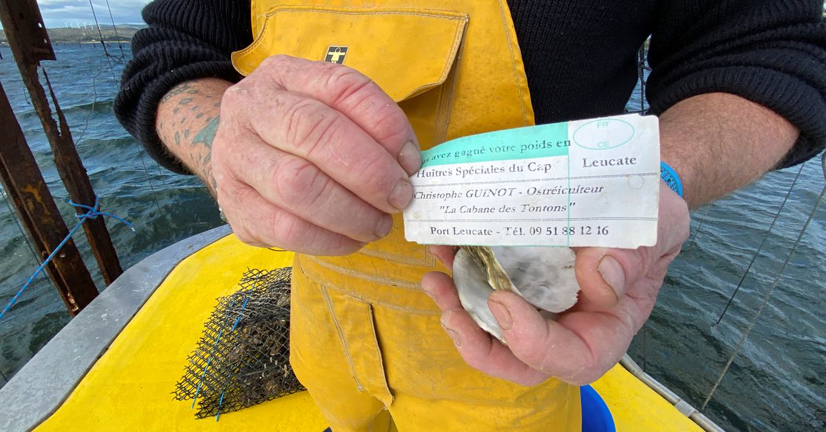 The Loop: Darwin residents shaken awake by quake, snap national cabinet ...