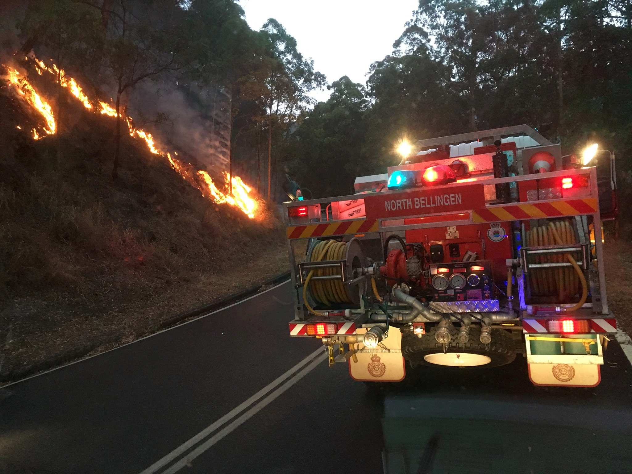 Major NSW link road Waterfall Way closed by bushfire between Dorrigo ...