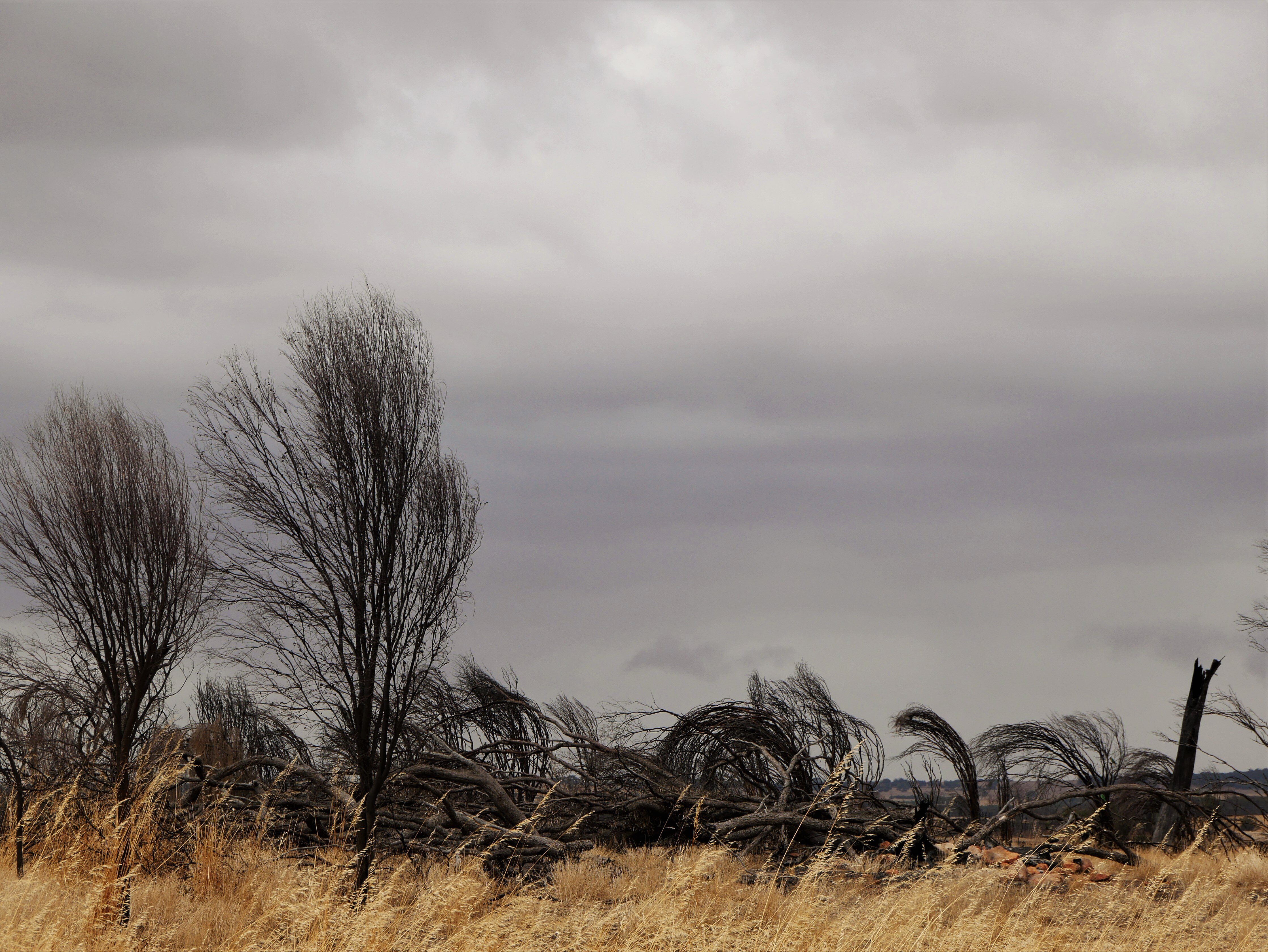 Inside a WA farmer's recovery after bushfire destroyed half of his ...