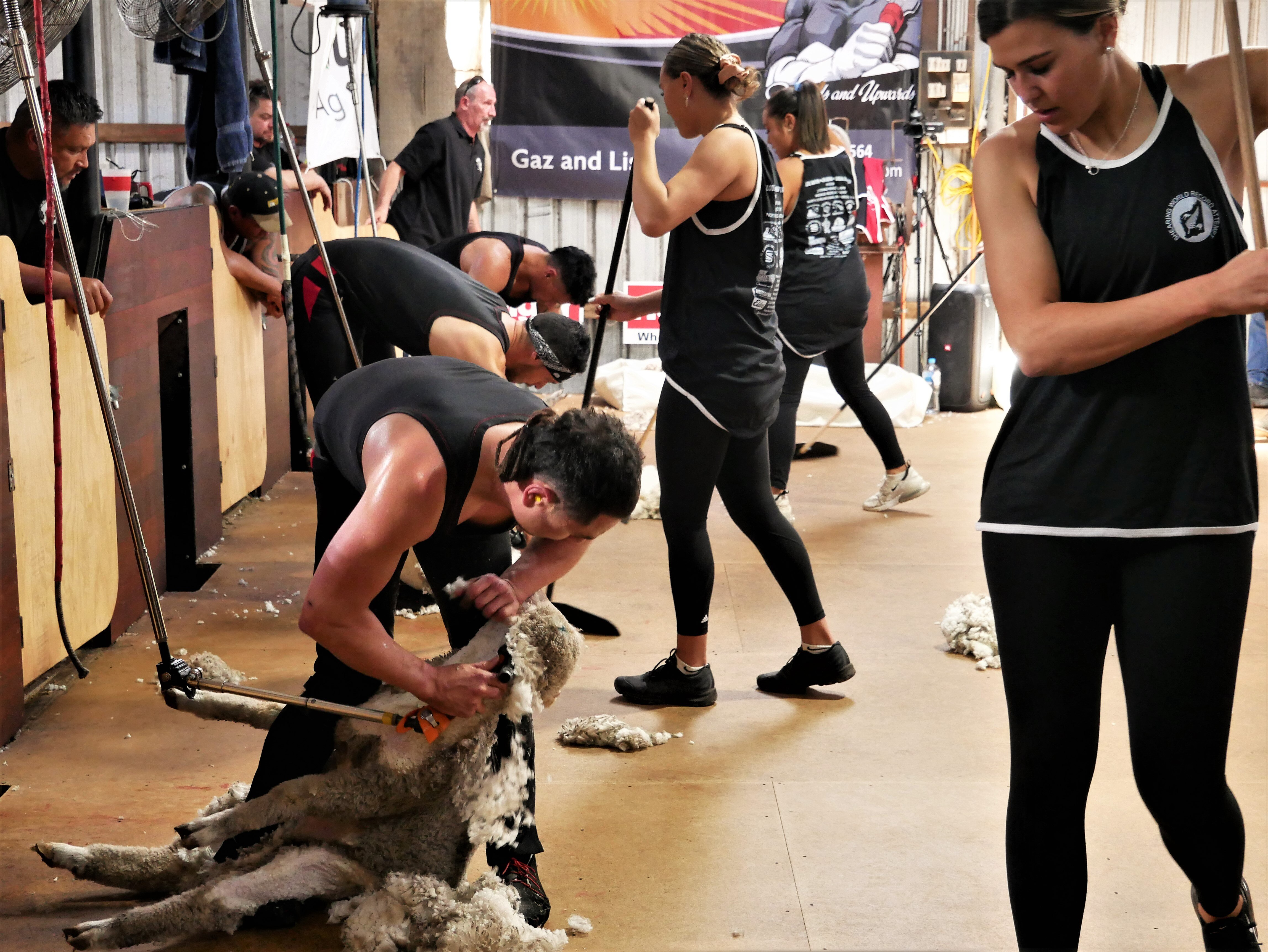 Southern WA celebrates second world-shearing record set in a fortnight ...