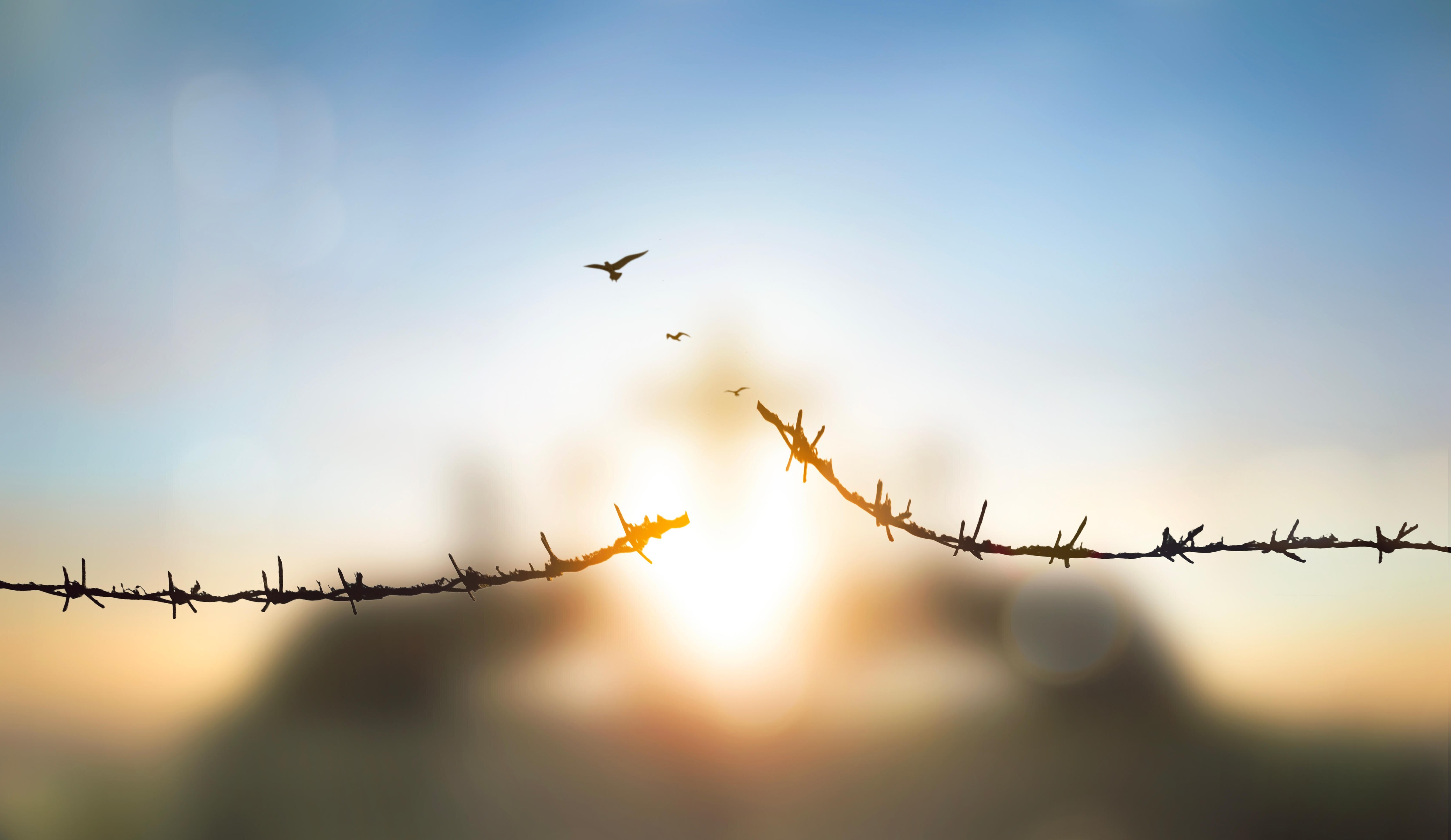 Soul Search with Dr Meredith Lake - ABC listen