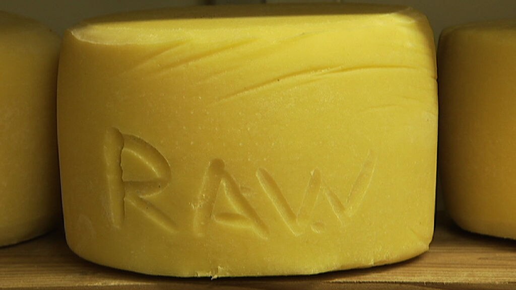 Raw Cheese 1 - ABC News