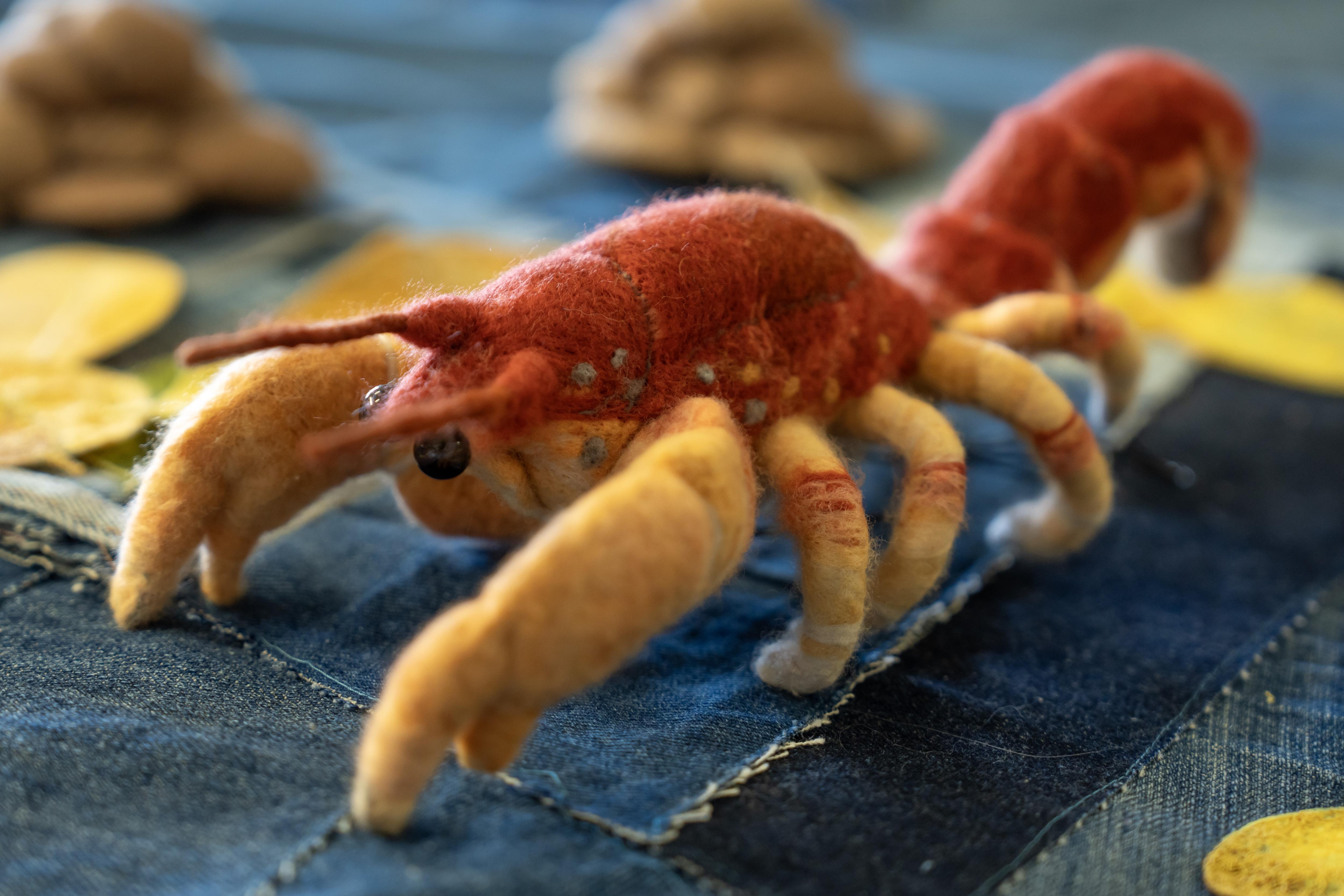 Darwin artists bring magic of tropical mangroves to life for national ...