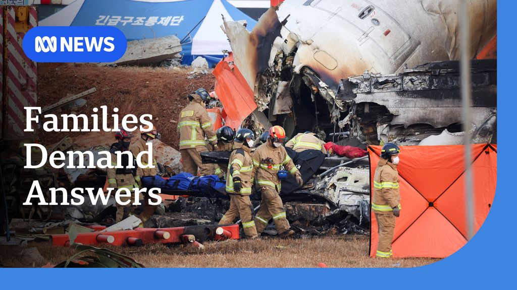 Cricket commentator Jim Maxwell reaches 50-years at the ABC - ABC News