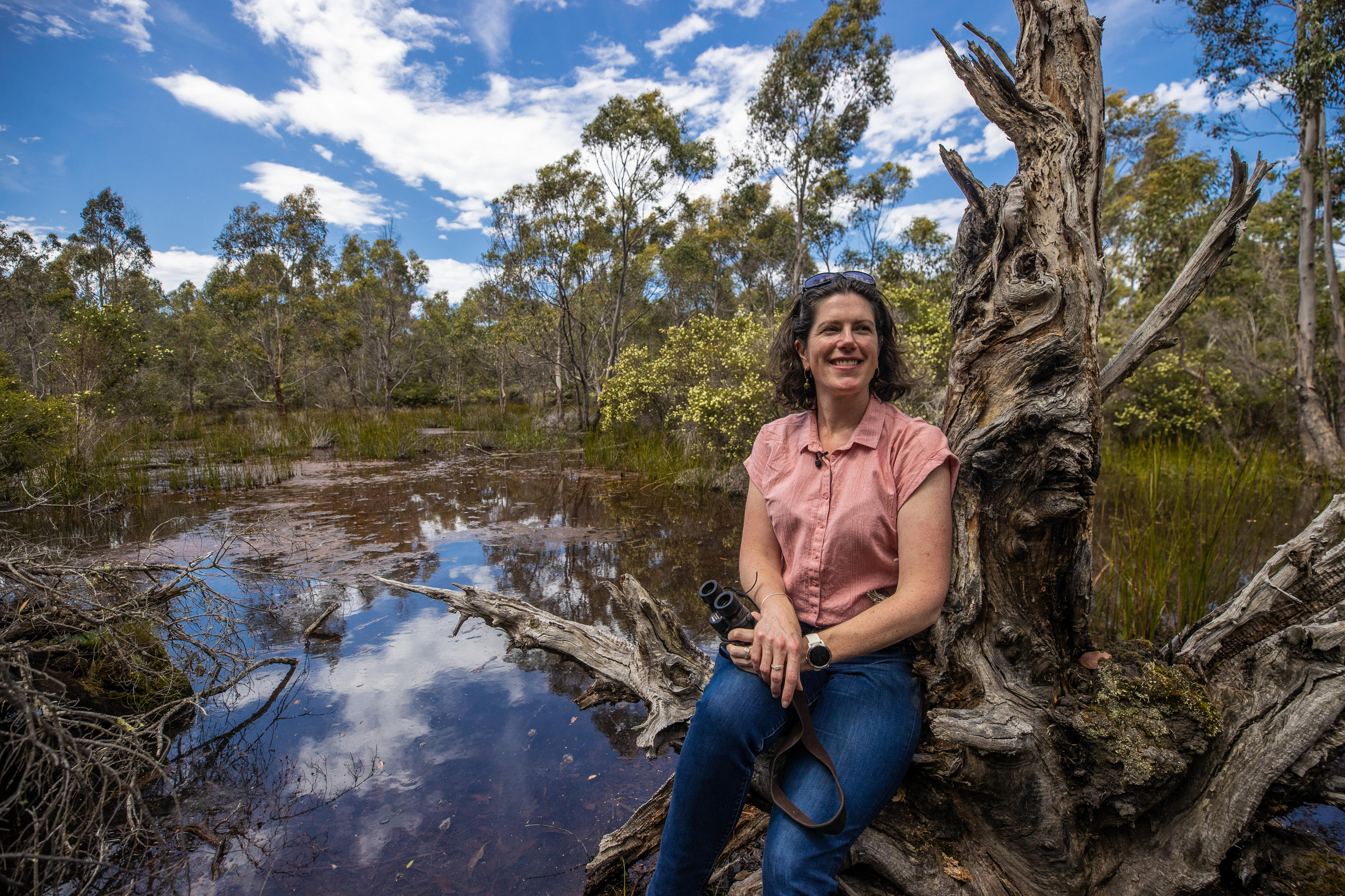 Hundreds of donors rally to buy and protect Tasman Peninsula bush block ...