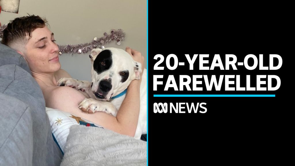 Hundreds farewelled Declan Laverty, whose death triggered reform - ABC News