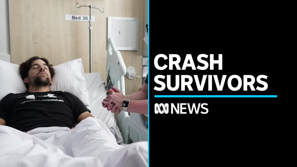 VW lover takes a drive down memory lane with huge collection of ...