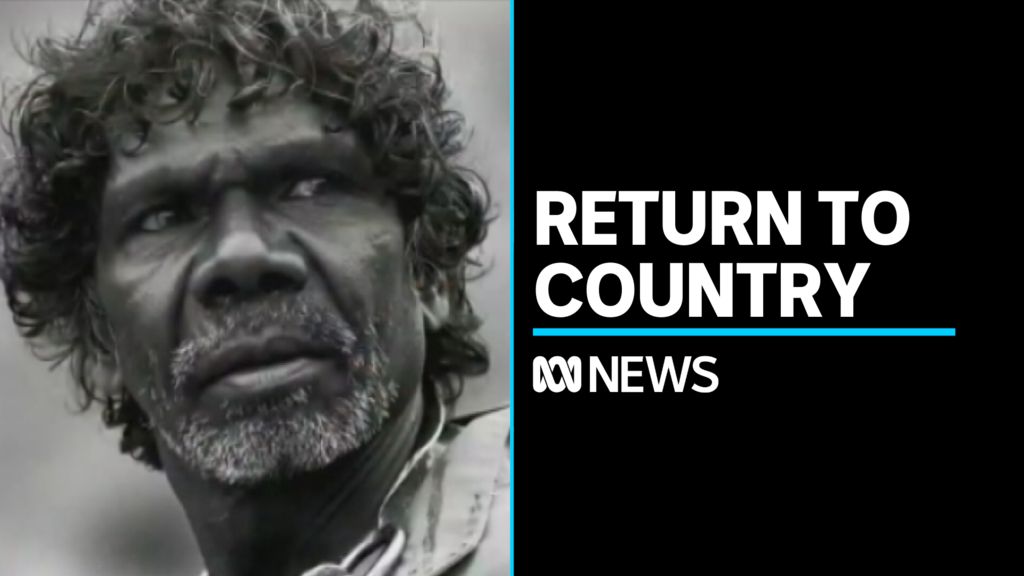 From the red carpet to the red soil of Arnhem Land, David Gulpilil ...