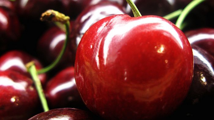 Warm Cherry Custard Pie - ABC News