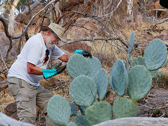 Volunteers stop work across Parks Victoria network, many blaming ...