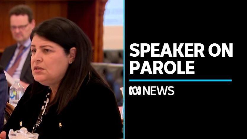 Senate Estimates - ABC News