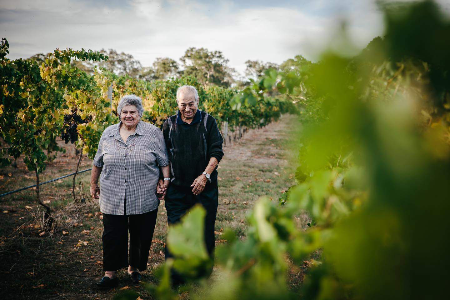 Coonawarra honours Zema Estate founder Demetrio Zema, who has died aged ...