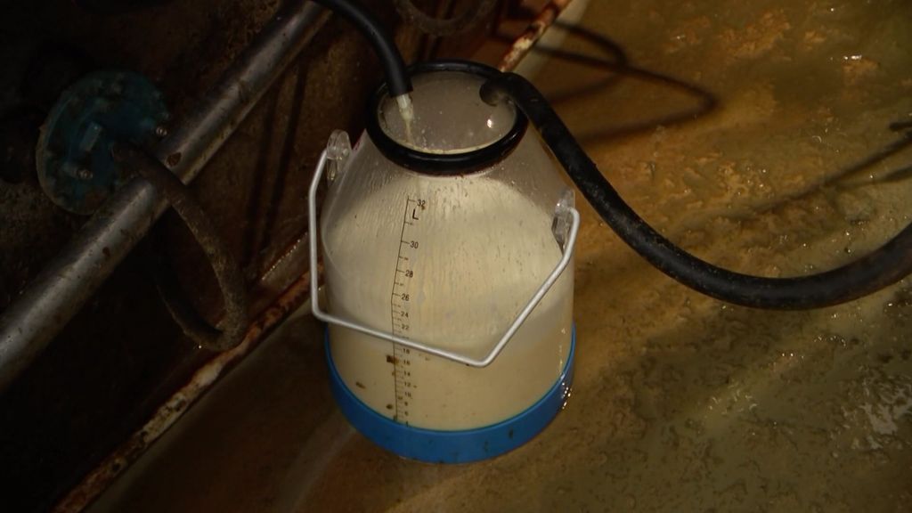 First Food: Dairy colostrum a new product in health foods - ABC News