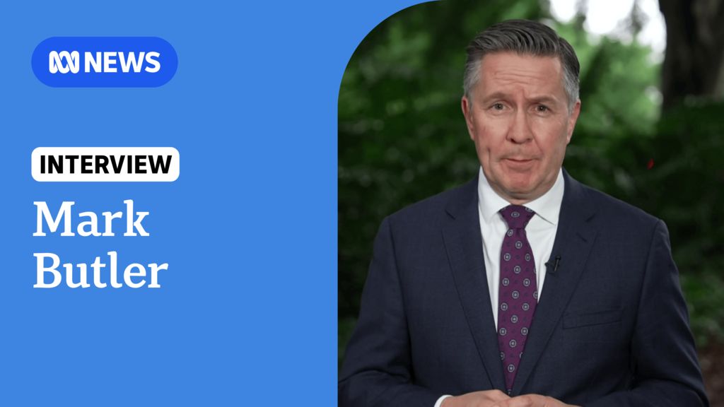 Federal minister Mark Butler: Turmoil on global markets will 'hit ...