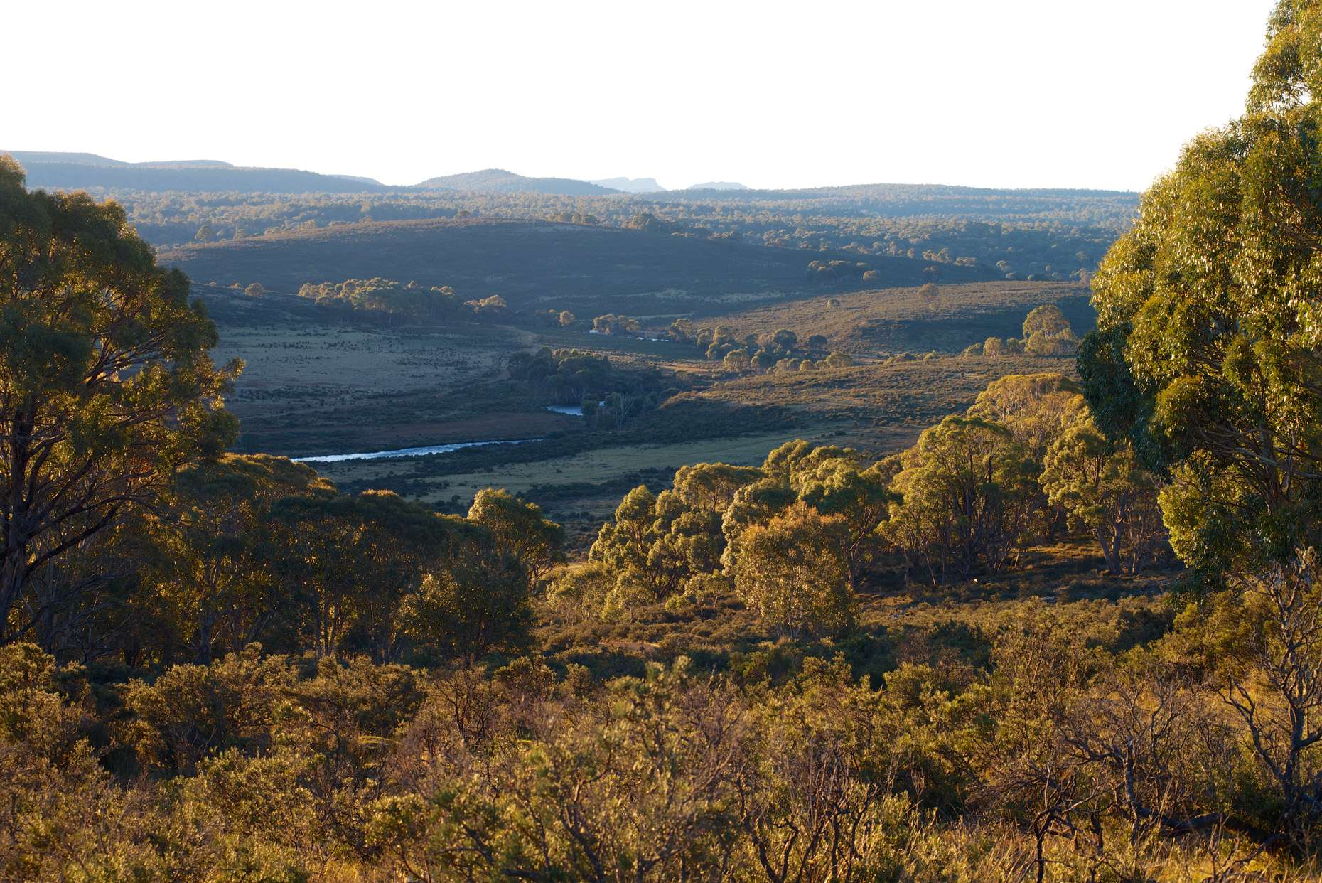 Peter Burdon - ABC News