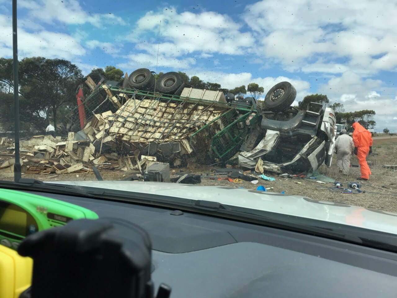Rescuers fight through swarm of bees after truck carrying hives crashes ...